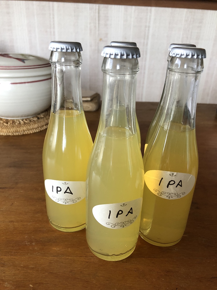 Carl's Zero-Carb IPA Beer - recipes, Recipes, RECIPES - Ketogenic Forums