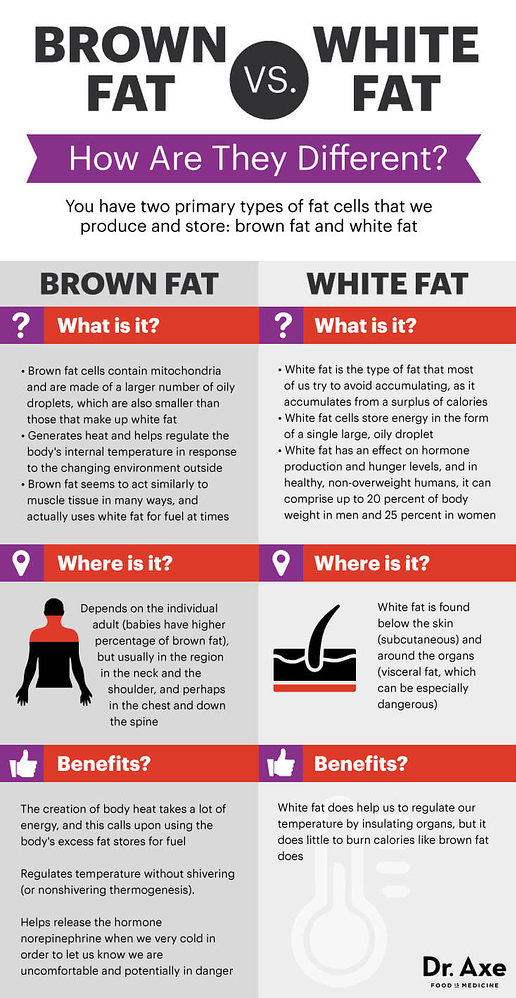 Increase Your Brown Fat (BAT) to Maintain a Healthy Body Weight - Video ...